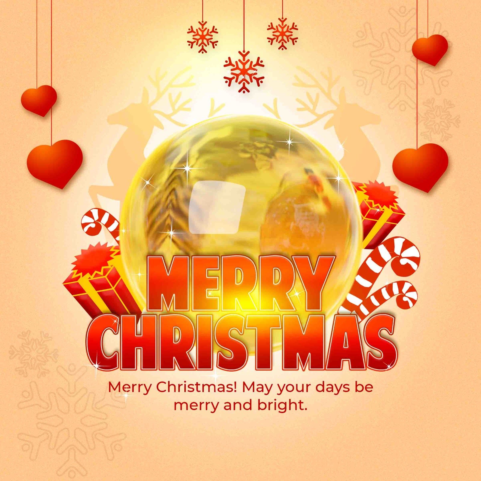 250+ Best Merry Christmas Wishes And Greetings For 2024 | Xmas